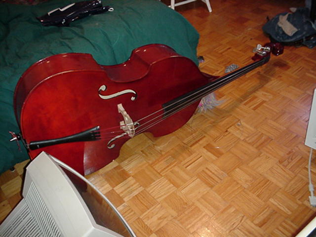 Rich Lafferty's Insurance Info